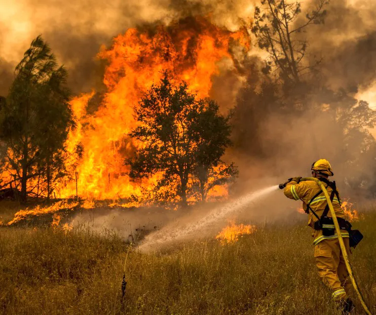 Don’t Wait for Flames: Prepare Now for Wildfire Evacuations | Tahoe ...